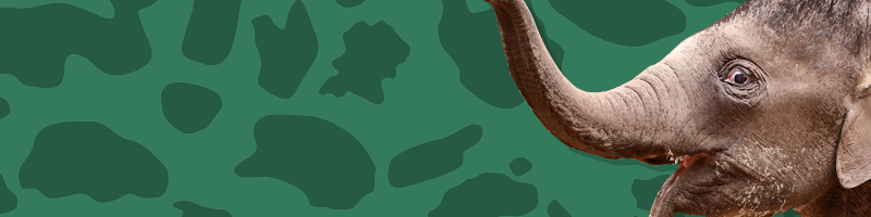 Home - Museum Satwa Jawa Timur Park 2